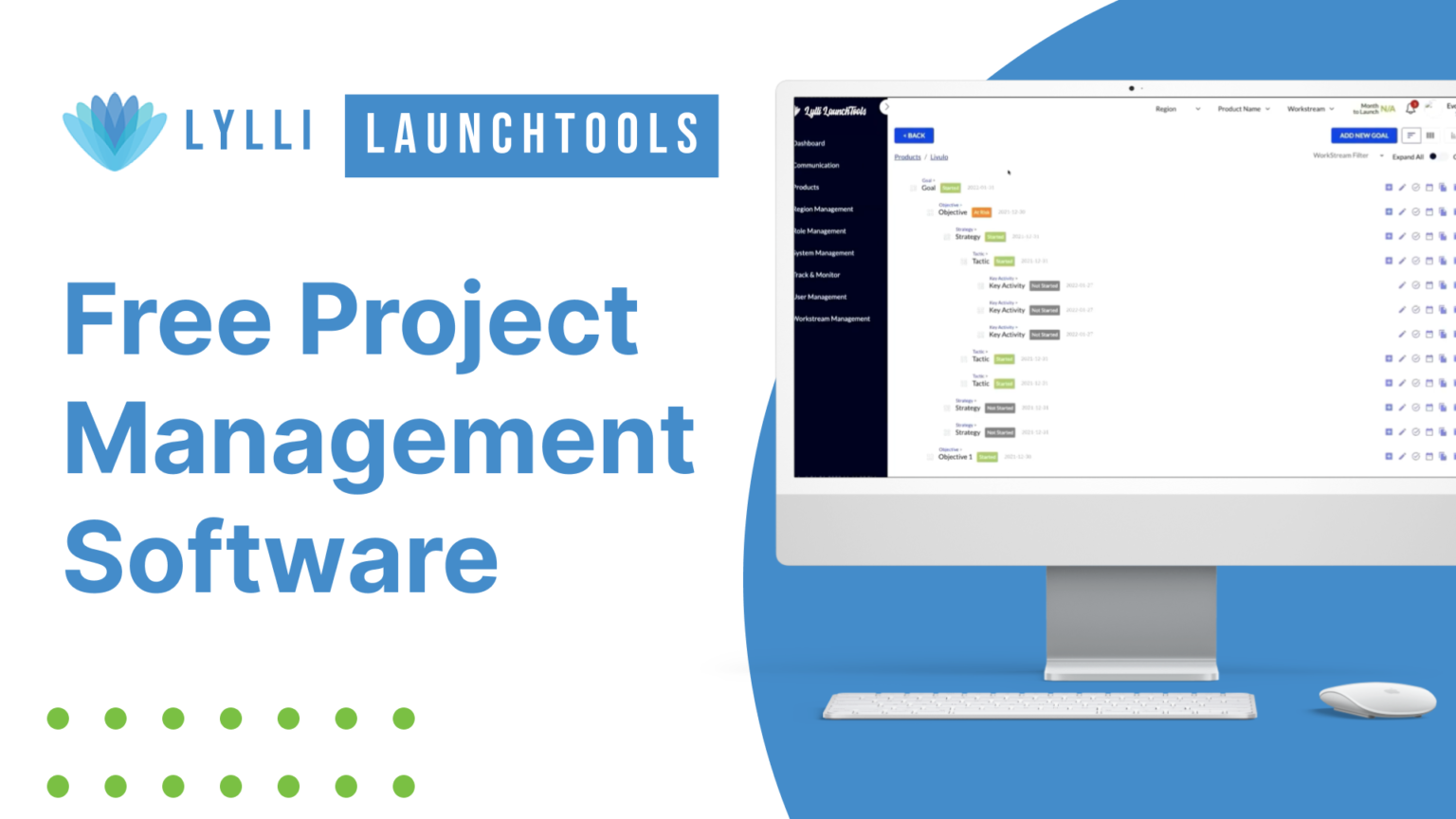 Maximize Efficiency with Lylli LaunchTools Project Management Software ...